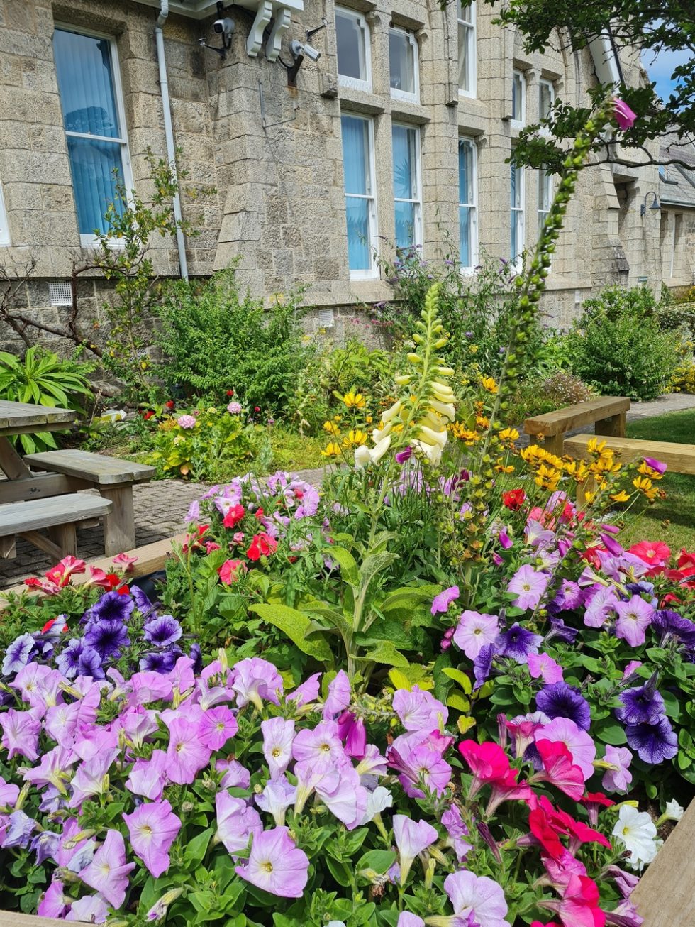 The gardens of St Ives that the public never usually see - St Ives Local