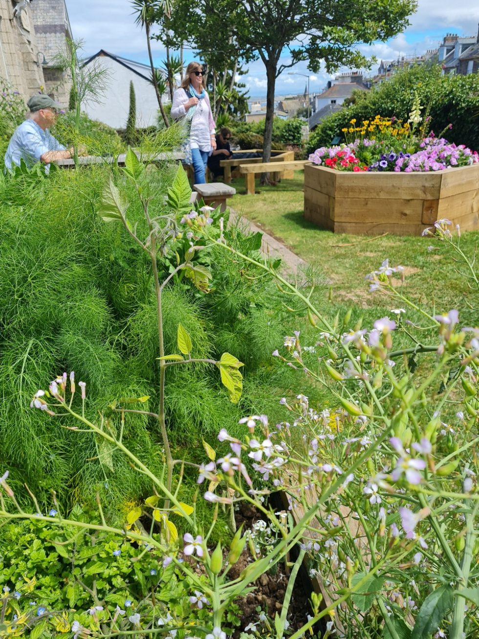The gardens of St Ives that the public never usually see - St Ives Local